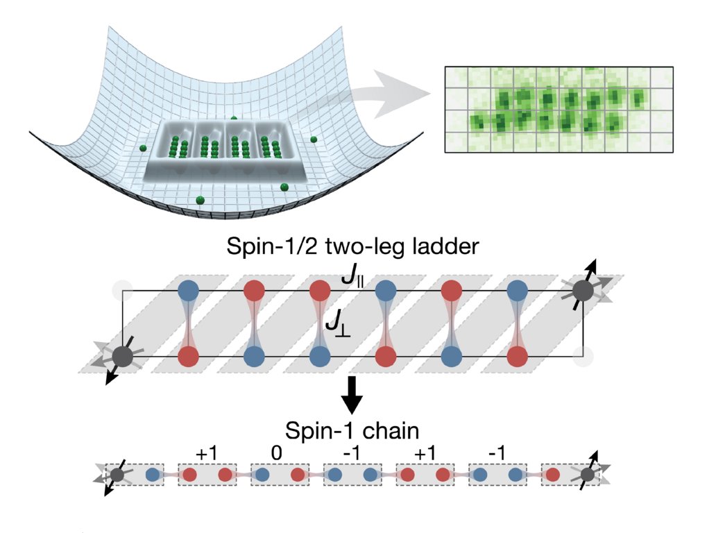 Realizing the symmetry-protected Haldane phase in Fermi–Hubbard ladders