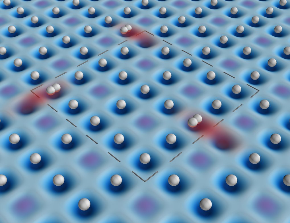 Observation of Brane Parity Order in Programmable Optical Lattices