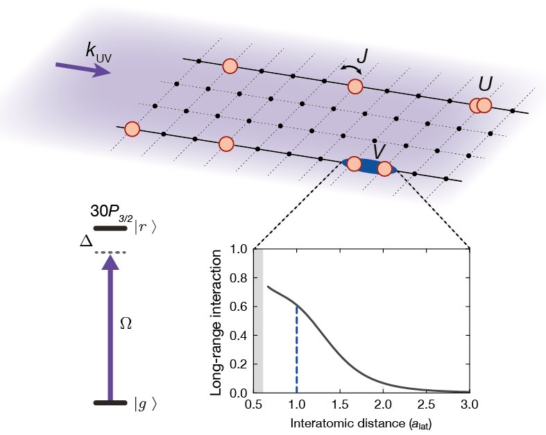 Long-range interacting quantum systems under a quantum-gas microscope
